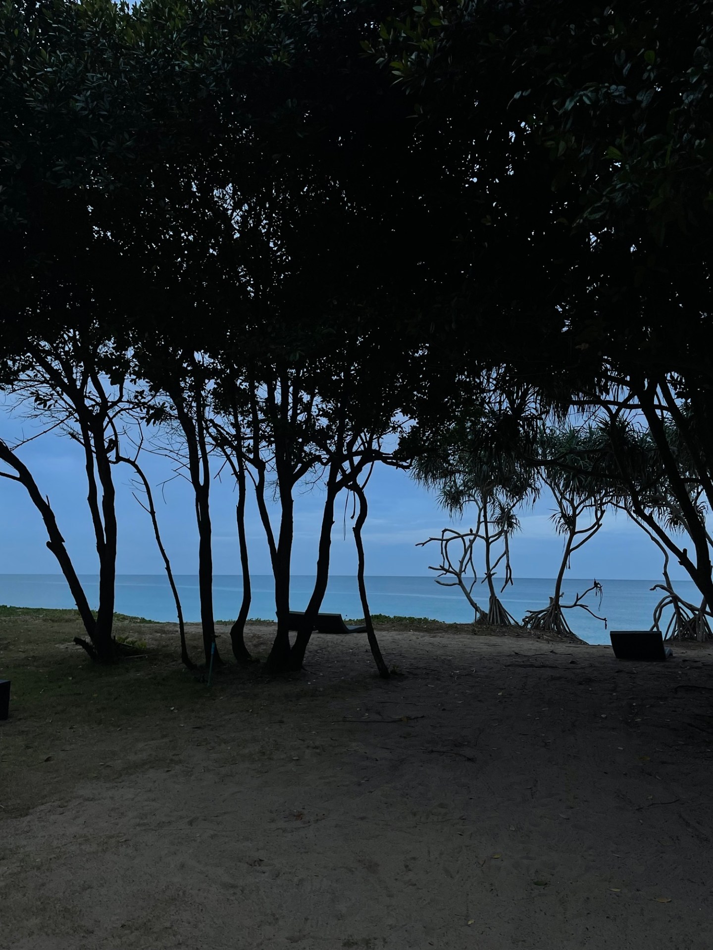 vignette 2025-12-29 – Julian JP Lee